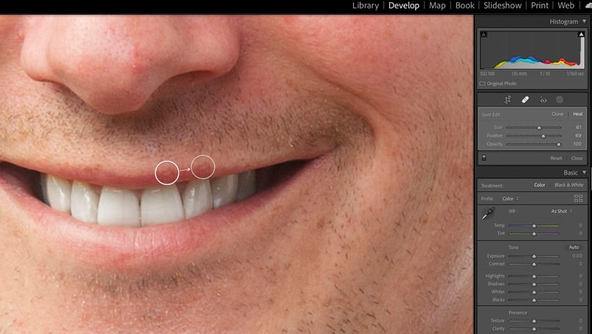 How to Use the Healing Brush to Retouch Photos in Lightroom Classic ...