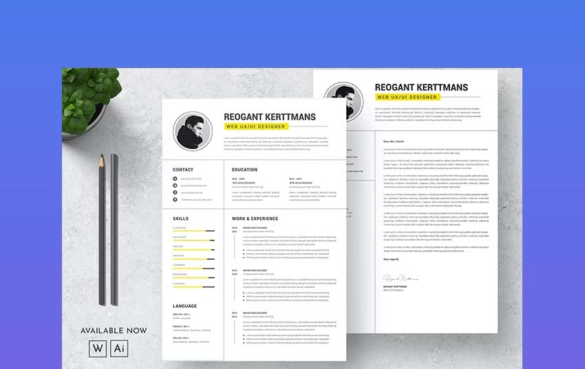 40+ Pro Microsoft Word Resume Templates (+ Video) | Envato Tuts+
