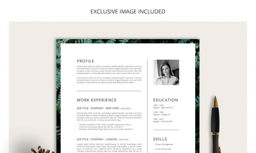 10+ Unique Resume CV Templates With Interesting (Creative) Resume Ideas ...