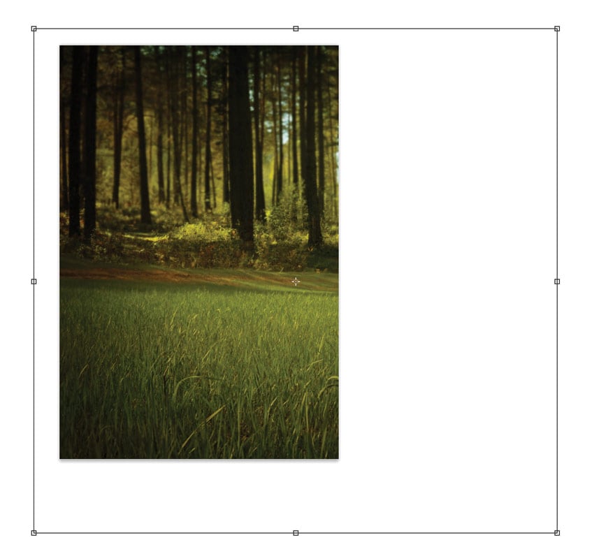 How to Create a Forest Self-Portrait Photo Manipulation in Adobe ...