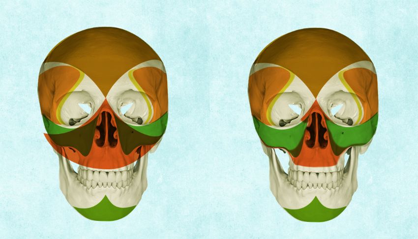 How to Create a Floral Sugar Skull Photo Manipulation With Adobe ...