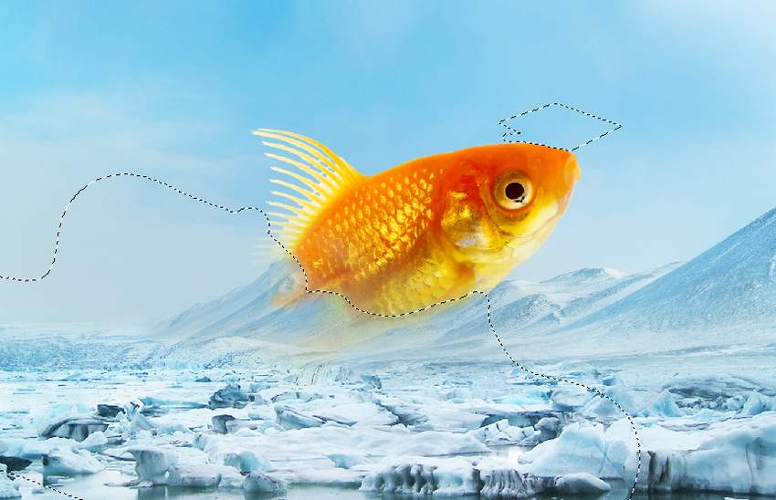 How to Create a Surreal Icy Fish Photo Manipulation With Adobe ...
