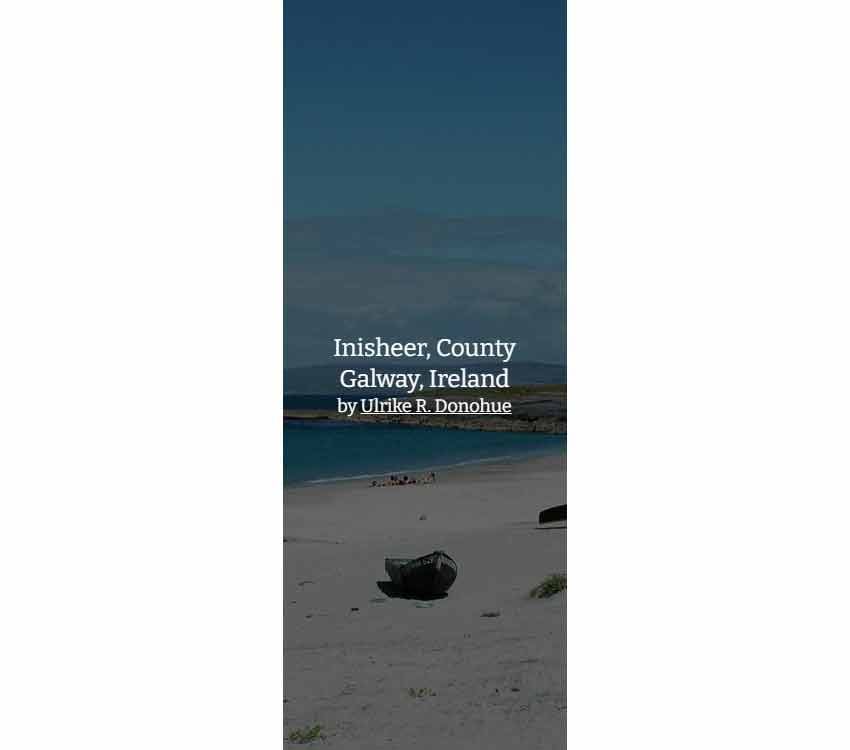 How to animate CSS Grid layouts (image grid project) | Envato Tuts+