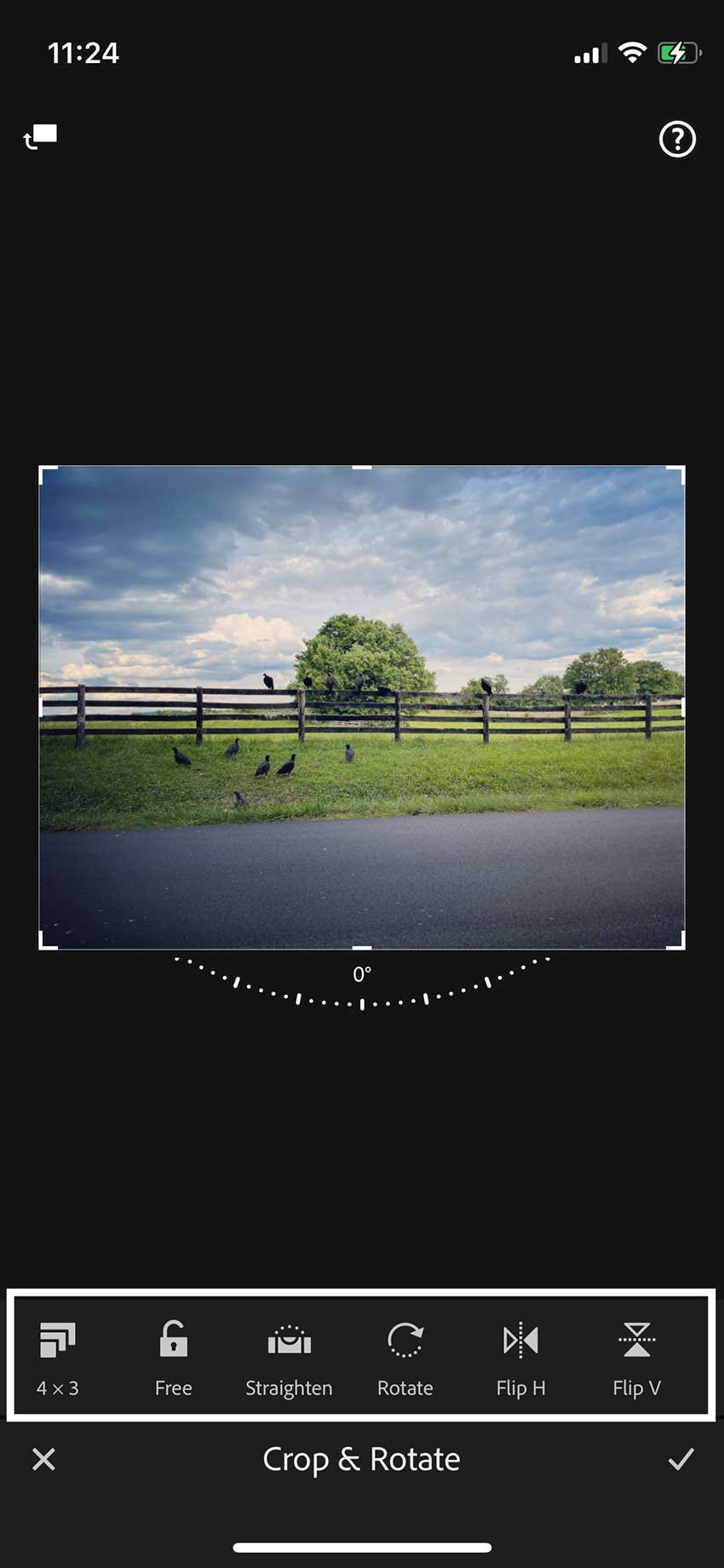 How to Crop a Photo in Lightroom Mobile | Envato Tuts+