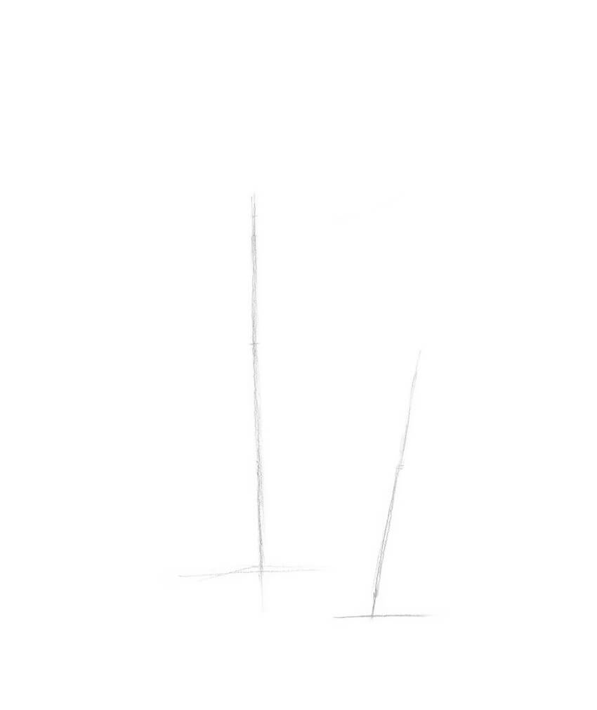 Cómo Dibujar Una Seta | Envato Tuts+