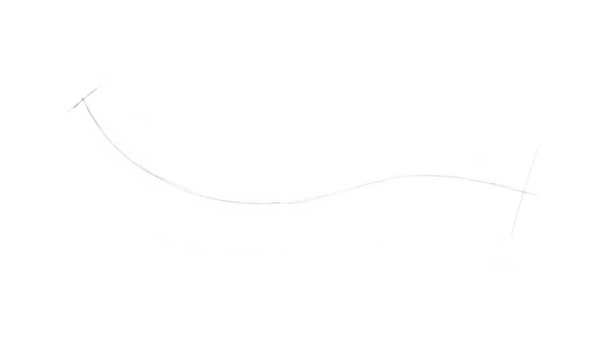 How to Draw a Shark Step by Step | Envato Tuts+
