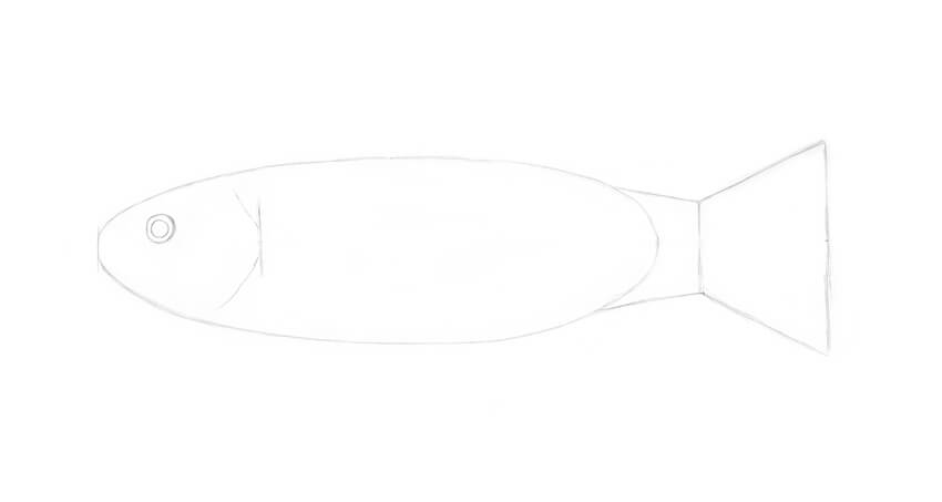 How to Draw a Fish | Envato Tuts+