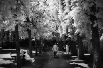 25 Examples of Infrared Photography | Envato Tuts+
