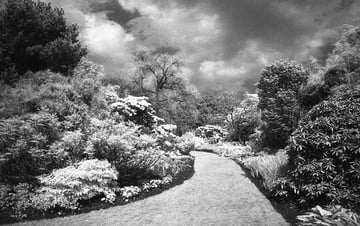 25 Examples of Infrared Photography | Envato Tuts+