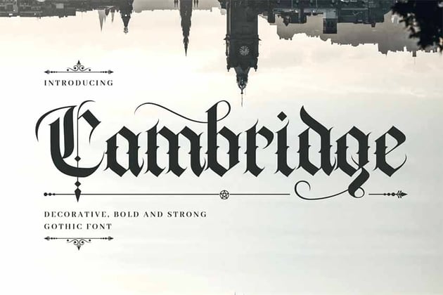 40 Best Calligraphy Fonts | Graficznie