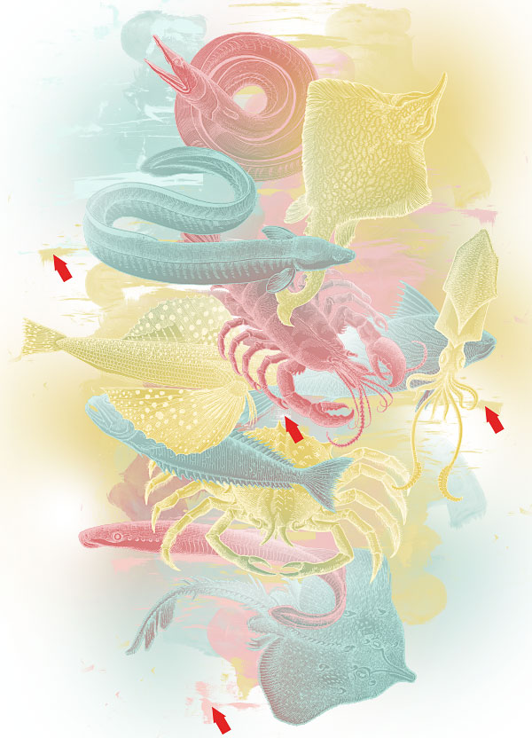 CMYK Process Printing for the Emerging T-Shirt Designer | Envato Tuts+