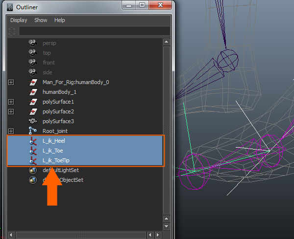 Build A Human Character Rig In Maya and Spline IK With Cluster ...
