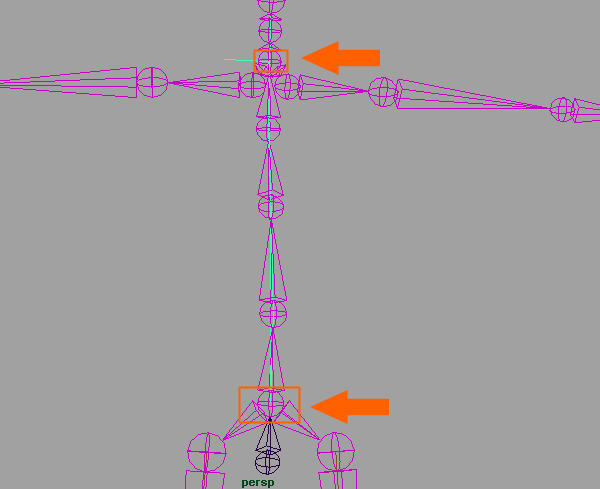 Build A Human Character Rig In Maya and Spline IK With Cluster ...