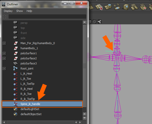 Build A Human Character Rig In Maya and Spline IK With Cluster ...