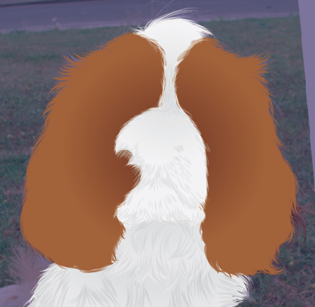 Creating a Detailed Furry Dog Portrait with Art Brushes | Envato Tuts+