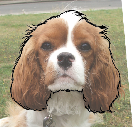 Creating a Detailed Furry Dog Portrait with Art Brushes | Envato Tuts+