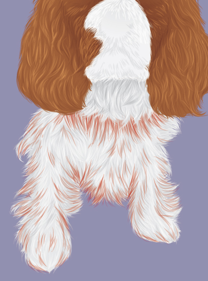 Creating a Detailed Furry Dog Portrait with Art Brushes | Envato Tuts+