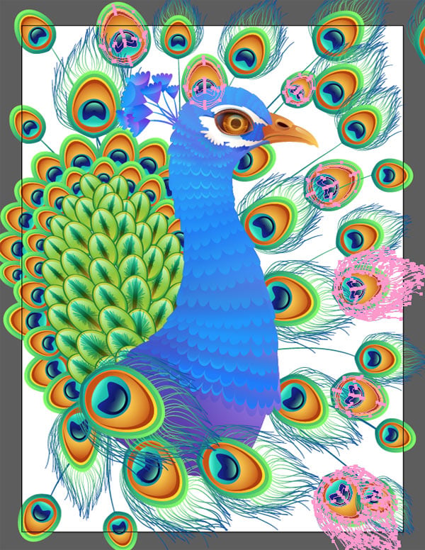 Create a Vibrant Peacock in Adobe Illustrator | Envato Tuts+