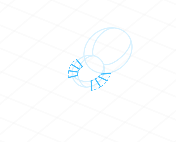 How to Draw Animals: Spiders, Popular Species, Anatomy and Movement ...