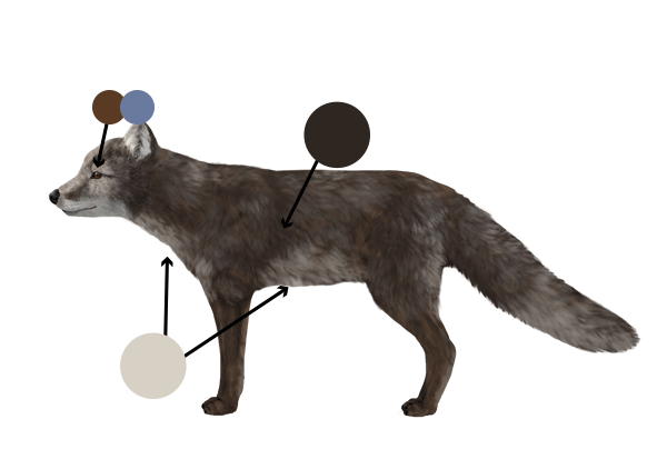 How to Draw Animals: Foxes | Envato Tuts+