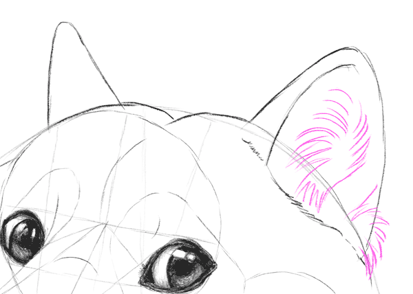 Such Tutorial, Many Fun: How to Draw Doge! | Envato Tuts+