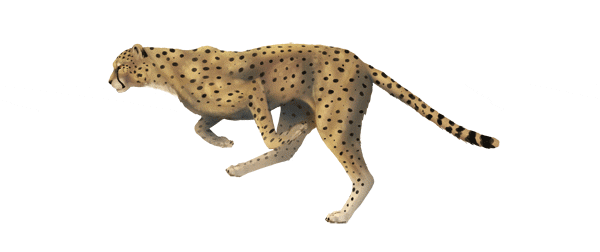 Create a Run Cycle Animation From Scratch in Adobe Photoshop | Envato Tuts+