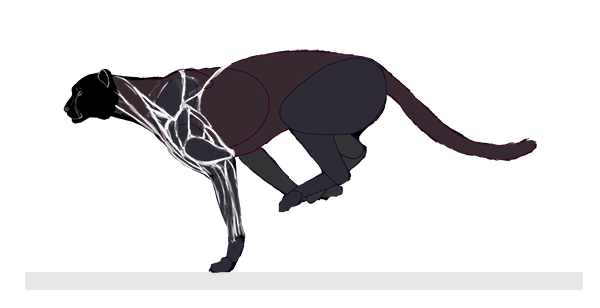 Create a Run Cycle Animation From Scratch in Adobe Photoshop | Envato Tuts+