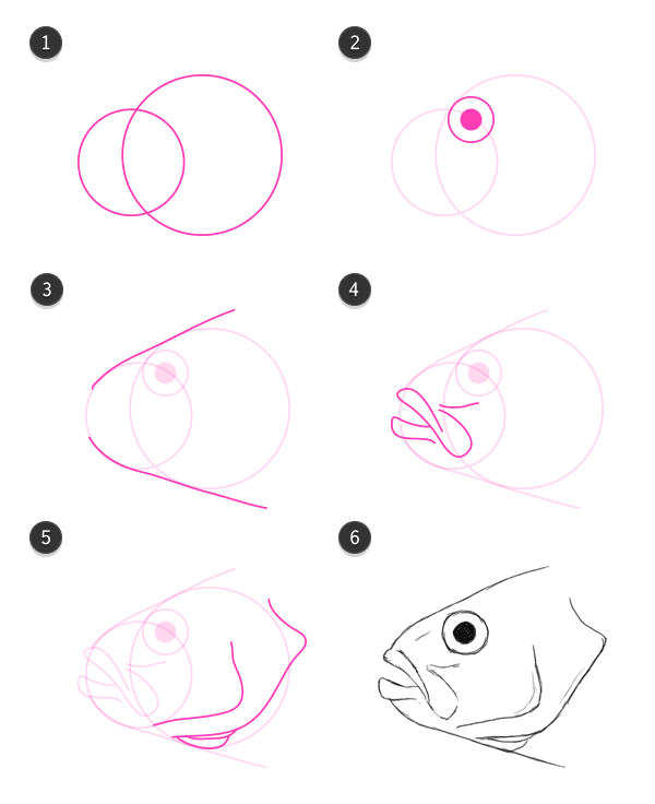 How to Draw Animals: Fish and Sharks | Envato Tuts+