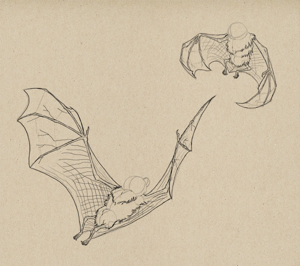 How to Draw Animals: Bats | Envato Tuts+
