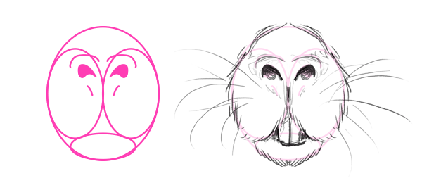 How to Draw Animals: Big Rodents and Their Anatomy | Envato Tuts+