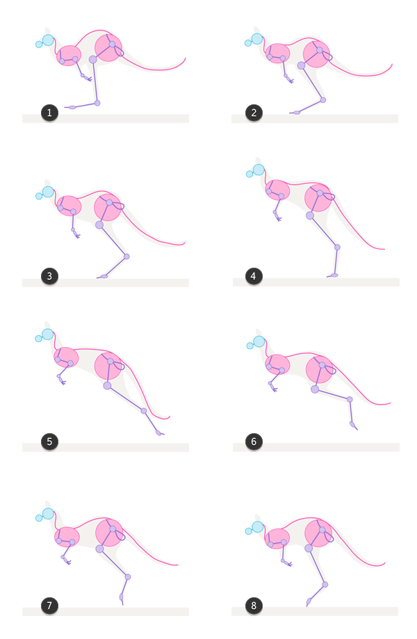 How to Draw Animals: Kangaroos and Koalas | Envato Tuts+