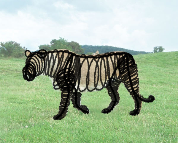 Quick Tip: Five Uses of Coil Drawing | Envato Tuts+