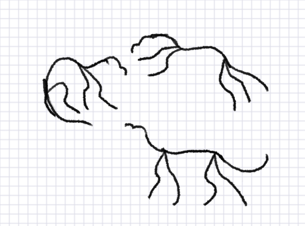 Quick Tip: Five Uses of Coil Drawing | Envato Tuts+
