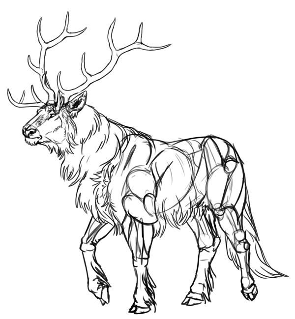 How to Draw Creatively Using Photo References | Envato Tuts+