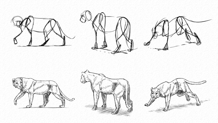 How to Use Gestures to Draw Creatures From Imagination | Envato Tuts+