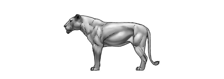 How to Use Gestures to Draw Creatures From Imagination | Envato Tuts+