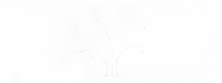How to Draw Trees | Envato Tuts+