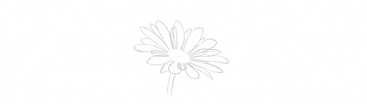 How to Draw a Flower | Envato Tuts+