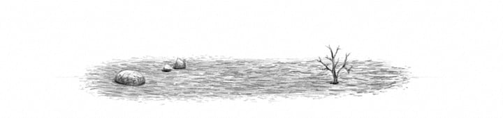 How to Draw Grass, Ground, and Rocks | Envato Tuts+