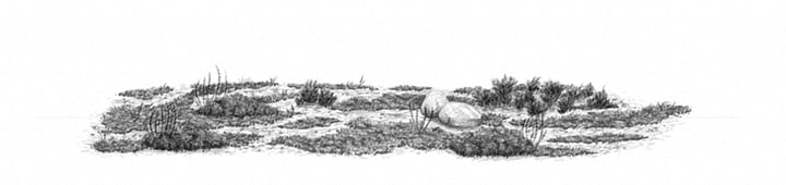 How to Draw Grass, Ground, and Rocks