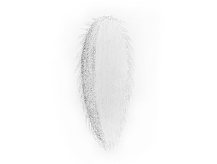 How to Draw Fur | Envato Tuts+