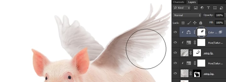 How to Add Wings to a Photo in Adobe Photoshop