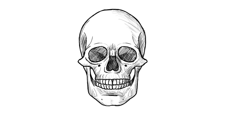 Cómo dibujar una calavera | Envato Tuts+