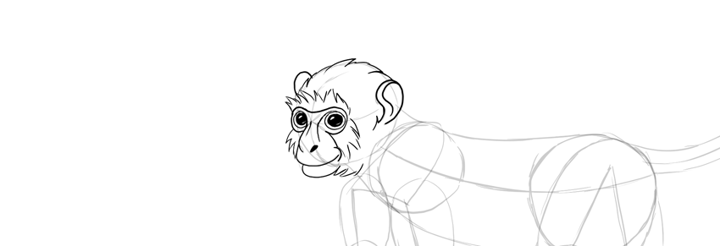 Cómo Dibujar un Mono Paso a Paso