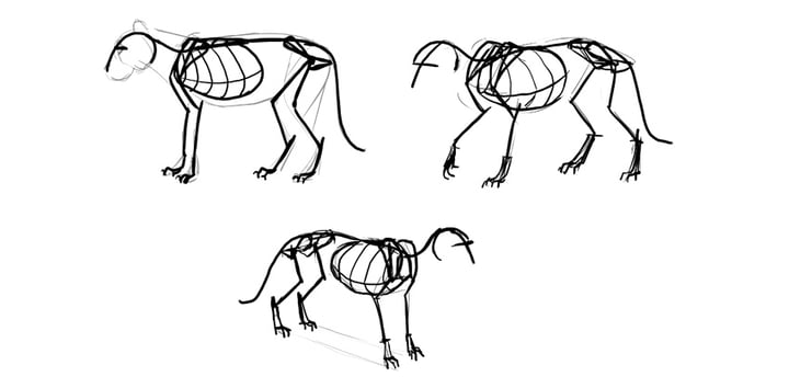How to Draw Furries, aka Anthropomorphic Characters | Envato Tuts+
