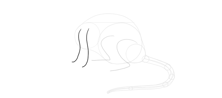 How to Draw a Mouse | Envato Tuts+