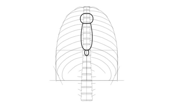 How to Draw a Skeleton Step by Step | Envato Tuts+