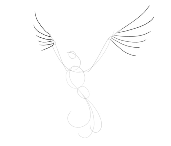 How to Draw a Phoenix Step by Step | Envato Tuts+