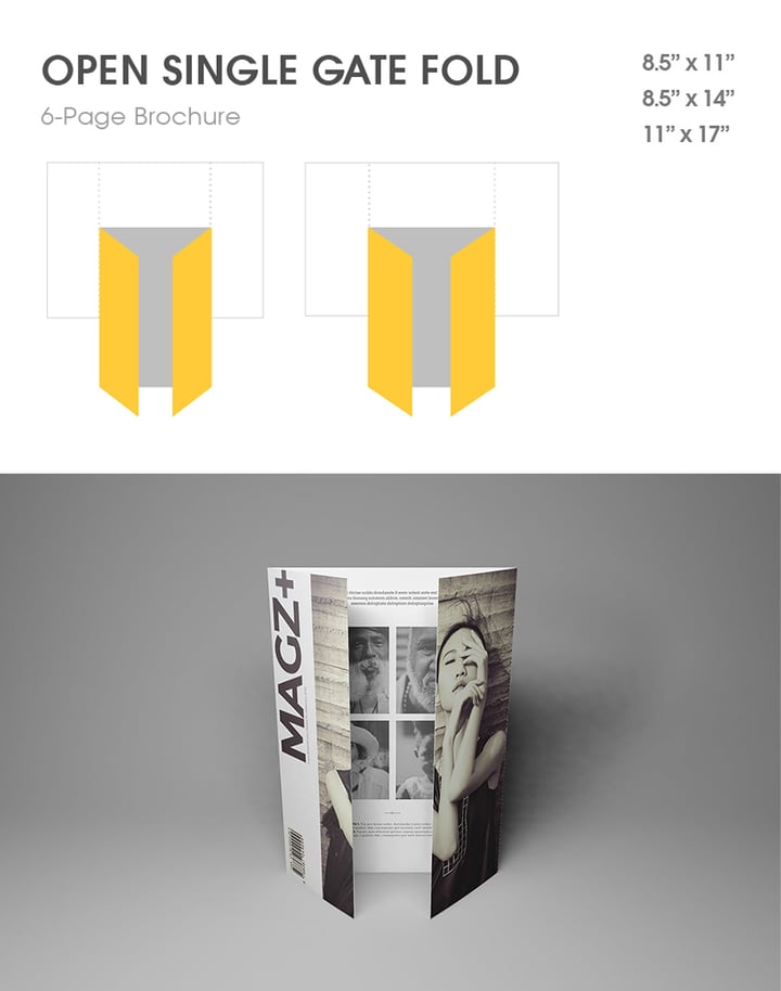 What Are the Different Types of Brochure? | Envato Tuts+
