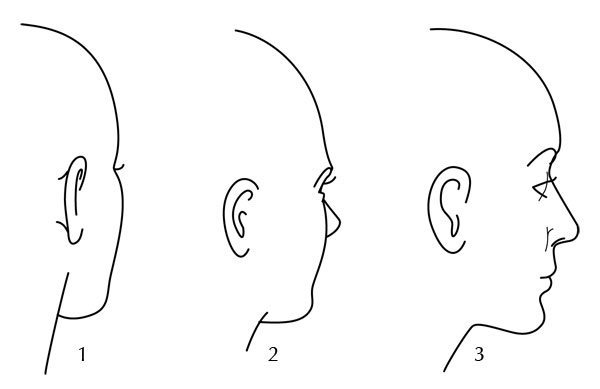Human Anatomy Fundamentals: Basics of the Face | Envato Tuts+